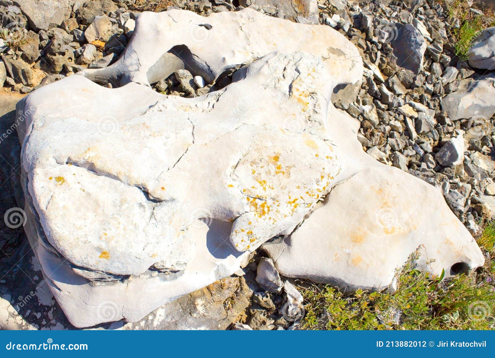 Rock in the Shape of an Animal`s Head Stock Photo - Image of shape ...