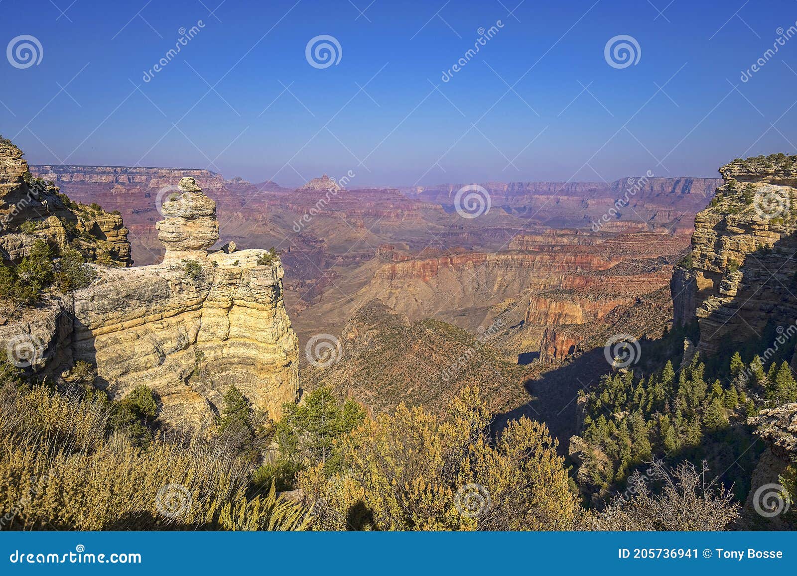 Duck on a Rock Formation, Grand Canyon Stock Image - Image of america ...