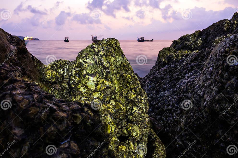 Rock from Shell at Kalim Beach Sunset Time in Summer Phuket Stock Image ...