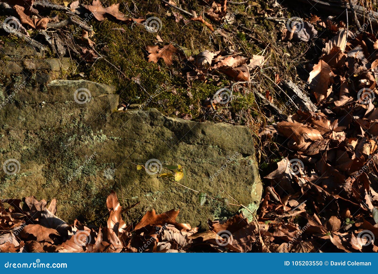 Moss covered rock stock photo. Image of stone, geological - 105203550