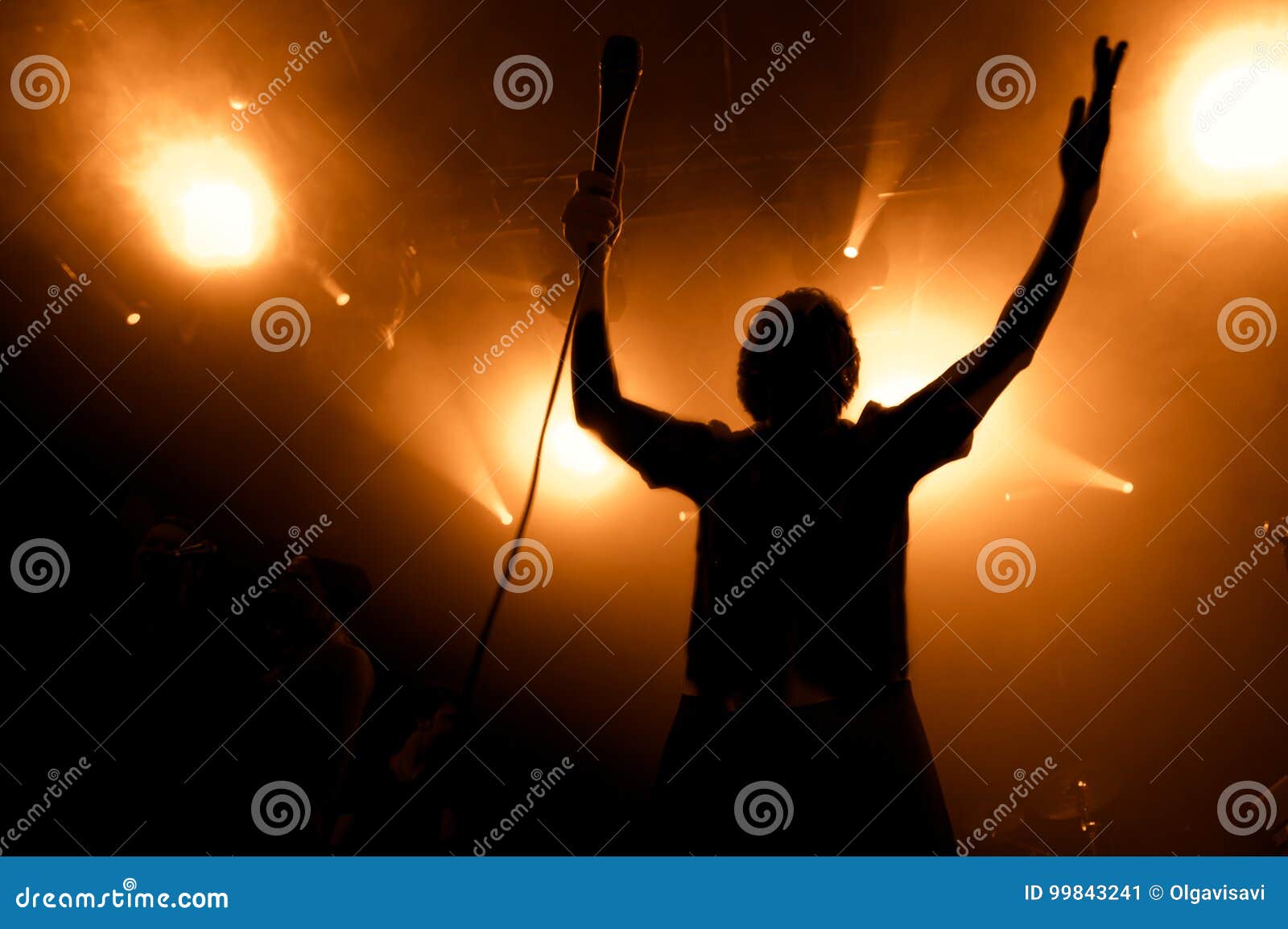 Rock singer on the concert stock image. Image of music - 99843241