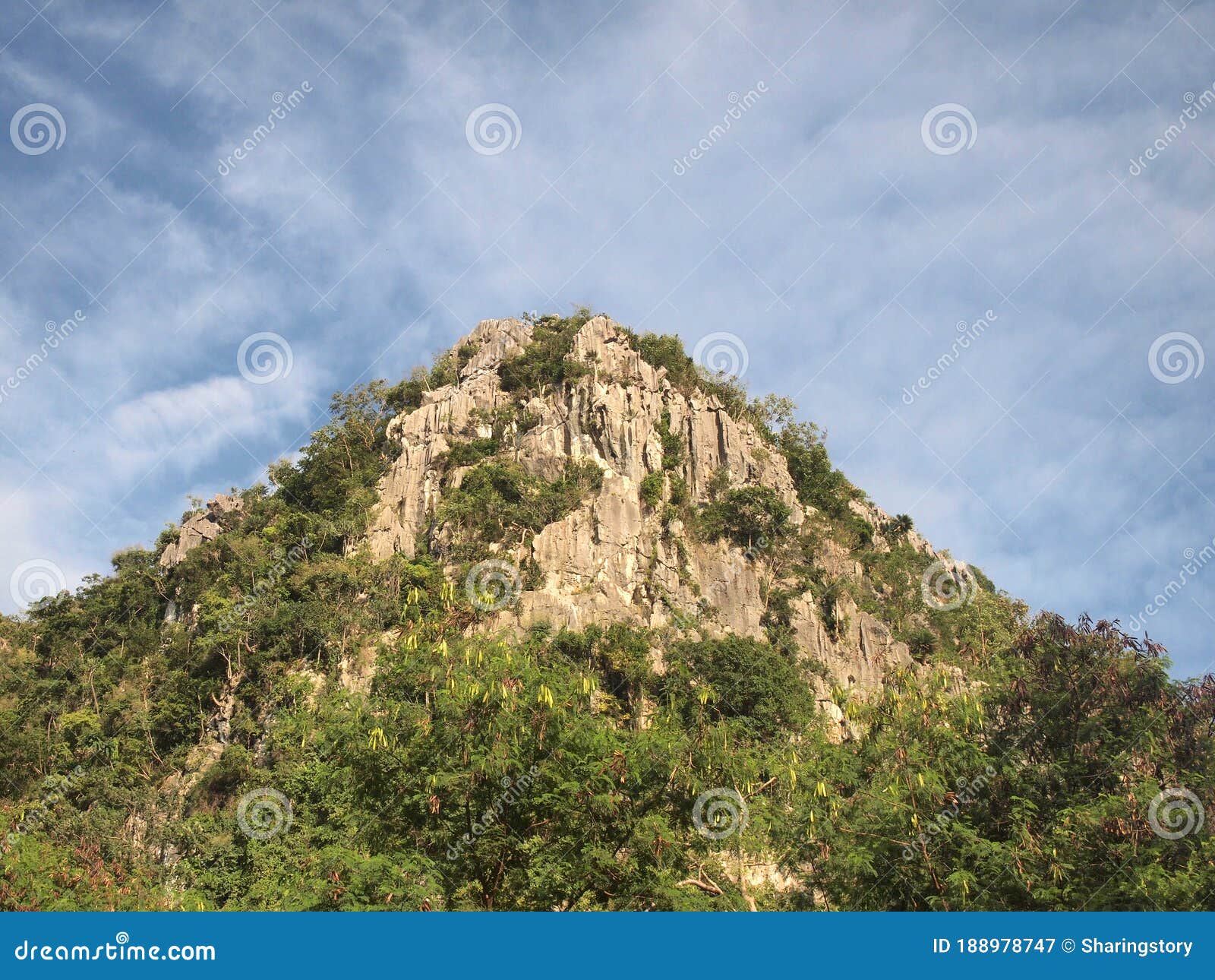 Rock Slope with Trees and Green Foliage Stock Image - Image of scenery ...