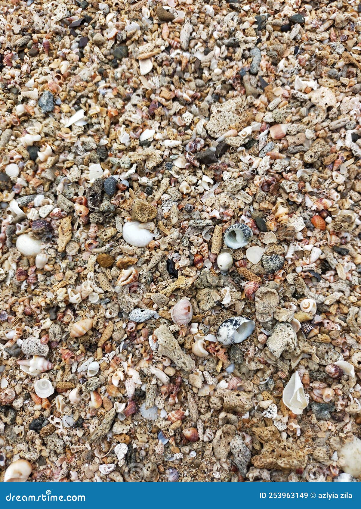 Rock soil beach stock image. Image of boulder, cobblestone - 253963149