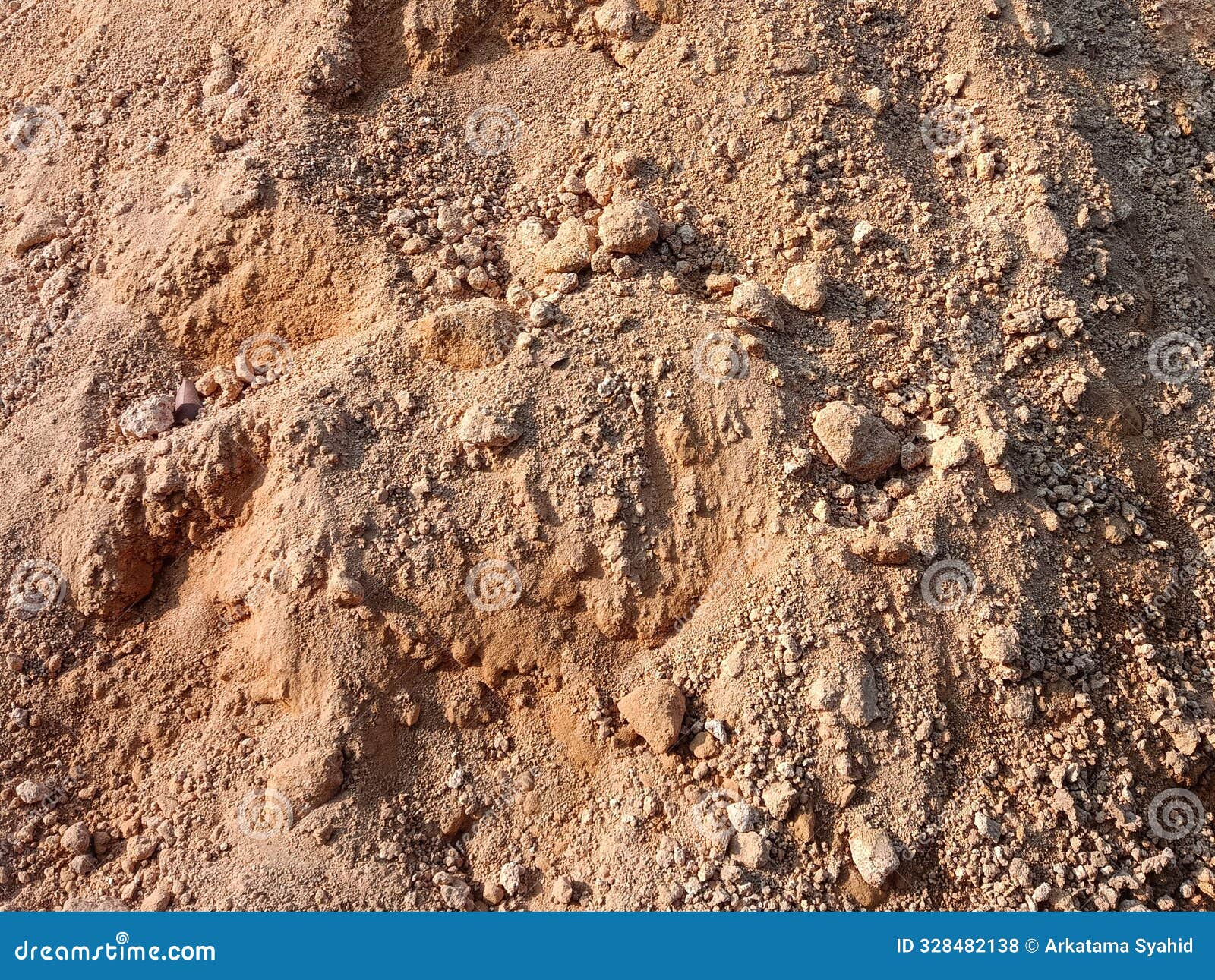 Close-up View of Rocky Soil Stock Photo - Image of garden, plant: 328482138
