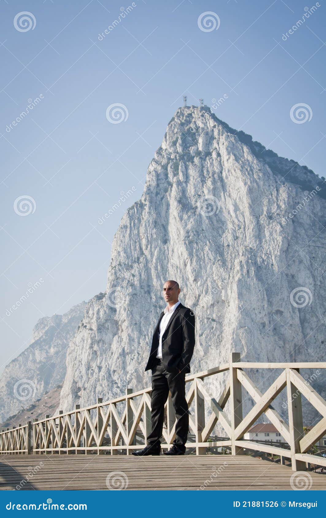 Rock Solid Business Man stock photo. Image of businesspeople - 21881526