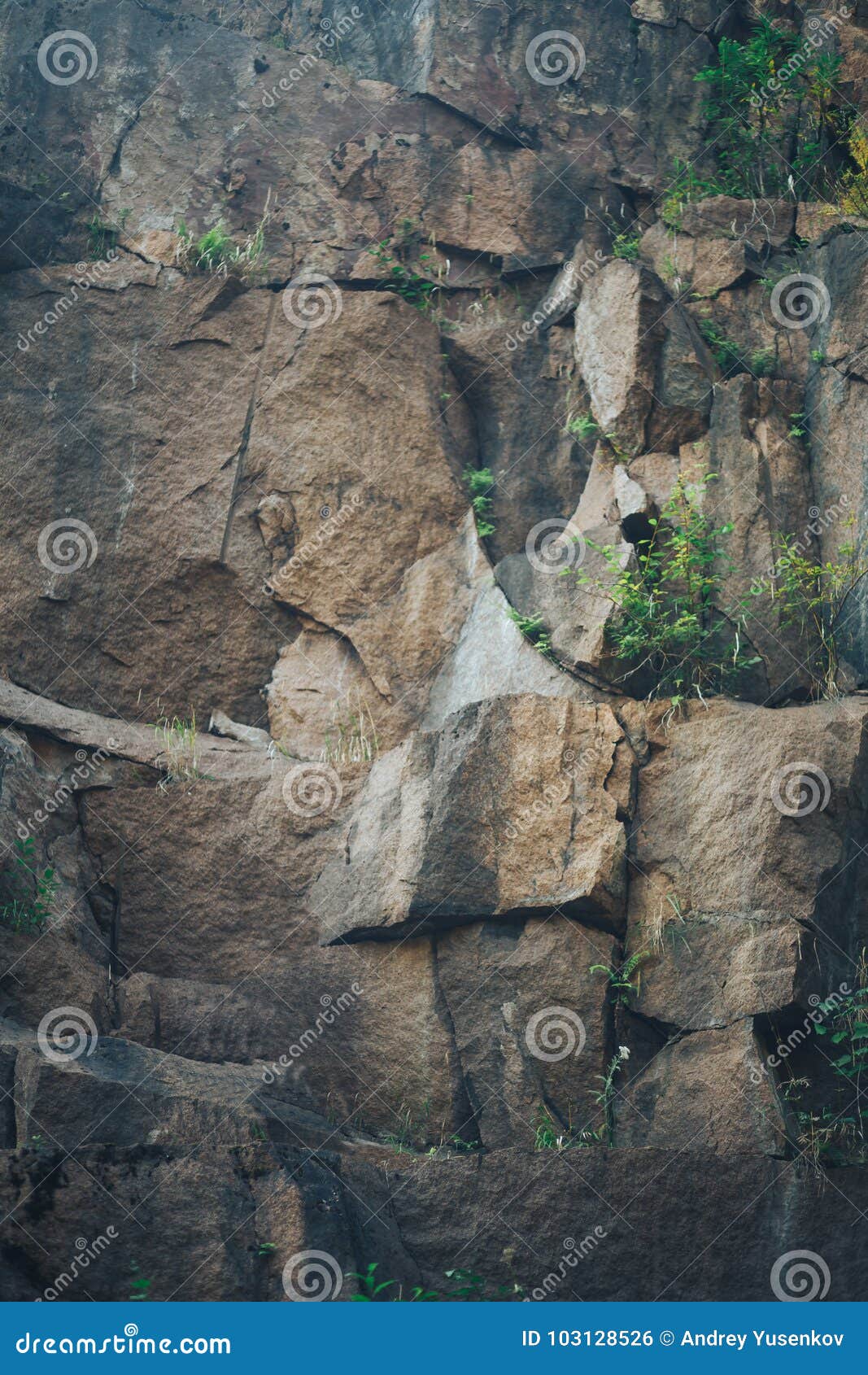 Rock with Sparse Growth of Shrubs Stock Photo - Image of park, natural ...