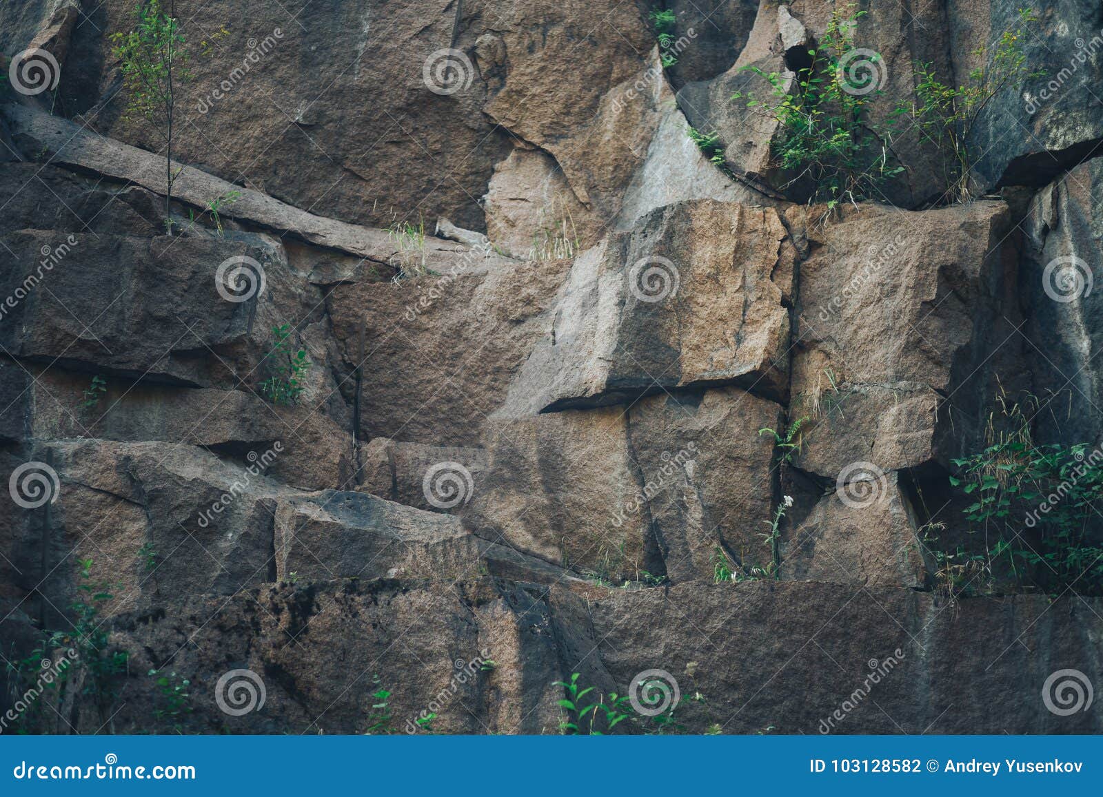Rock with Sparse Growth of Shrubs Stock Photo - Image of grass, brown ...