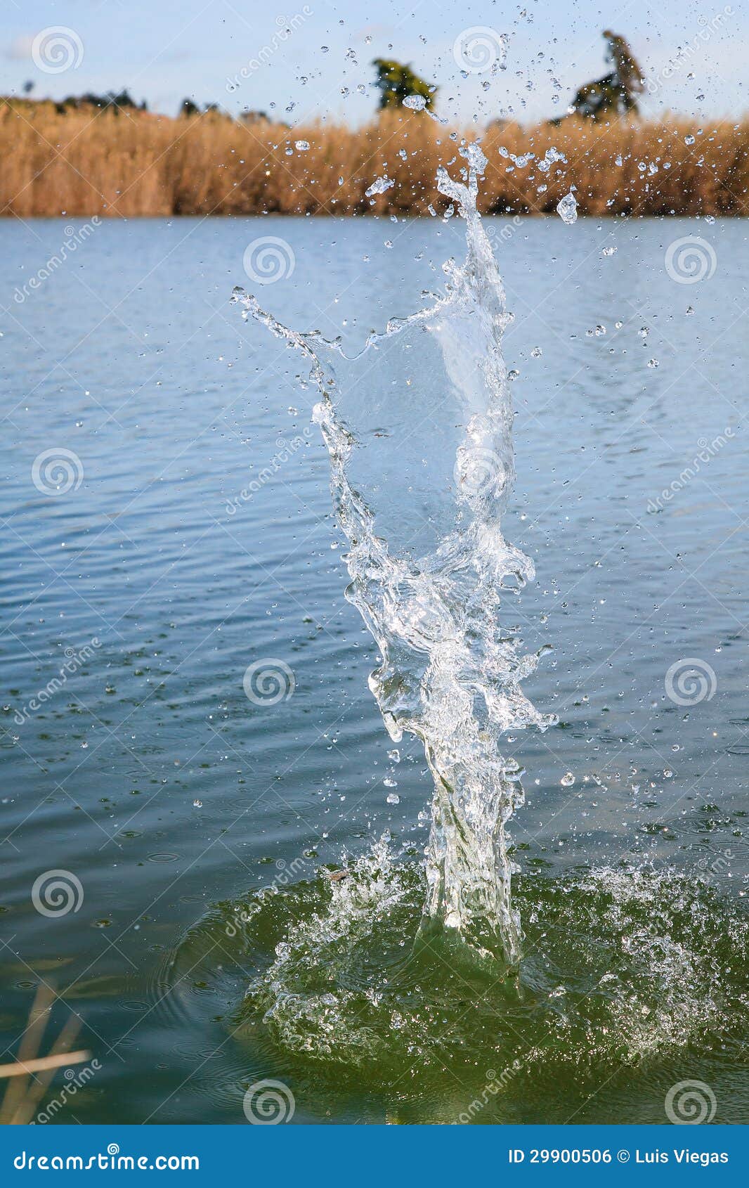 Rock splash in water stock photo. Image of spray, splash - 29900506