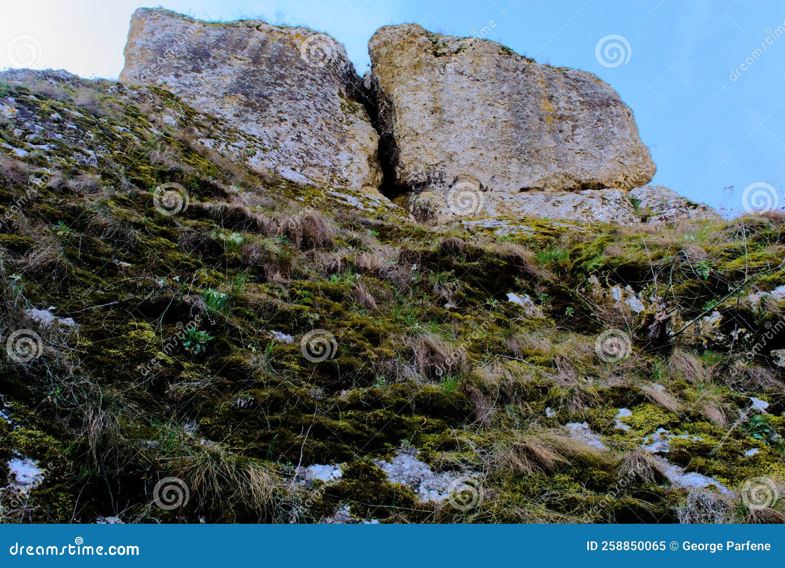 Rock split by time stock image. Image of rock, flower - 258850065
