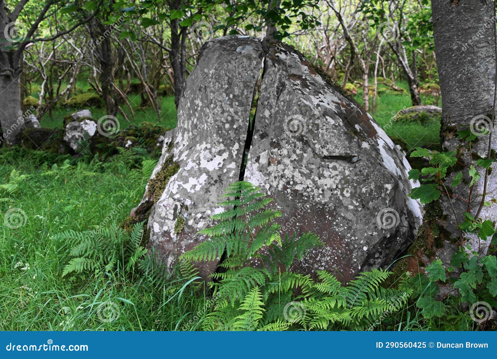 Rock Split in Two on the Applecross Peninsula, Scotland Stock Image ...