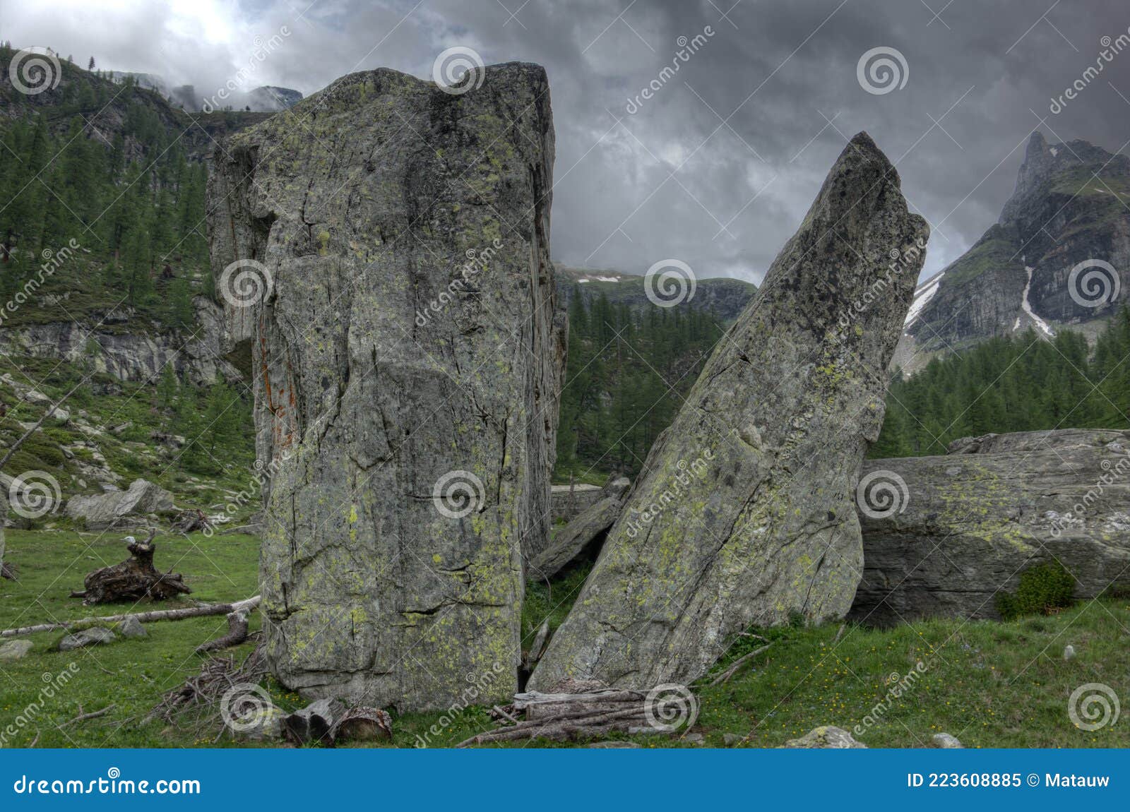 Rock Split By Tree Roots Stock Image | CartoonDealer.com #201262213
