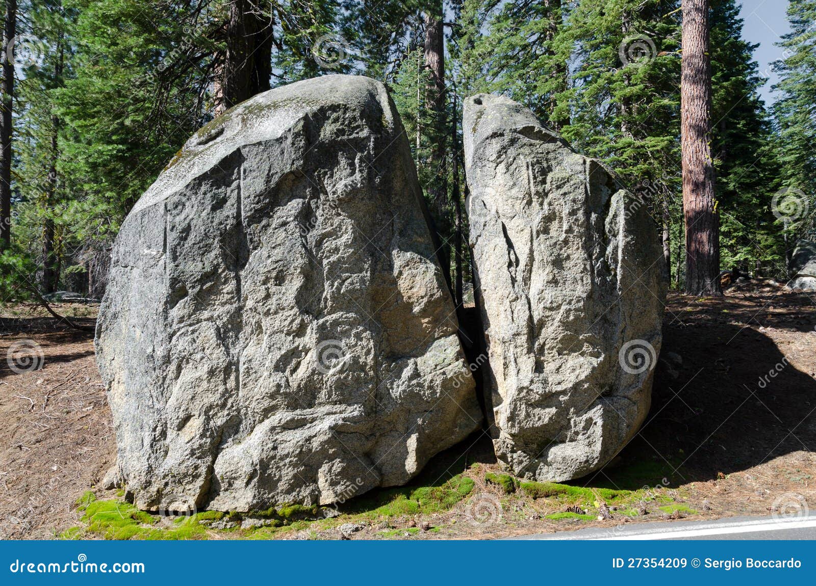 Rock Split By Tree Roots Stock Image | CartoonDealer.com #201262213