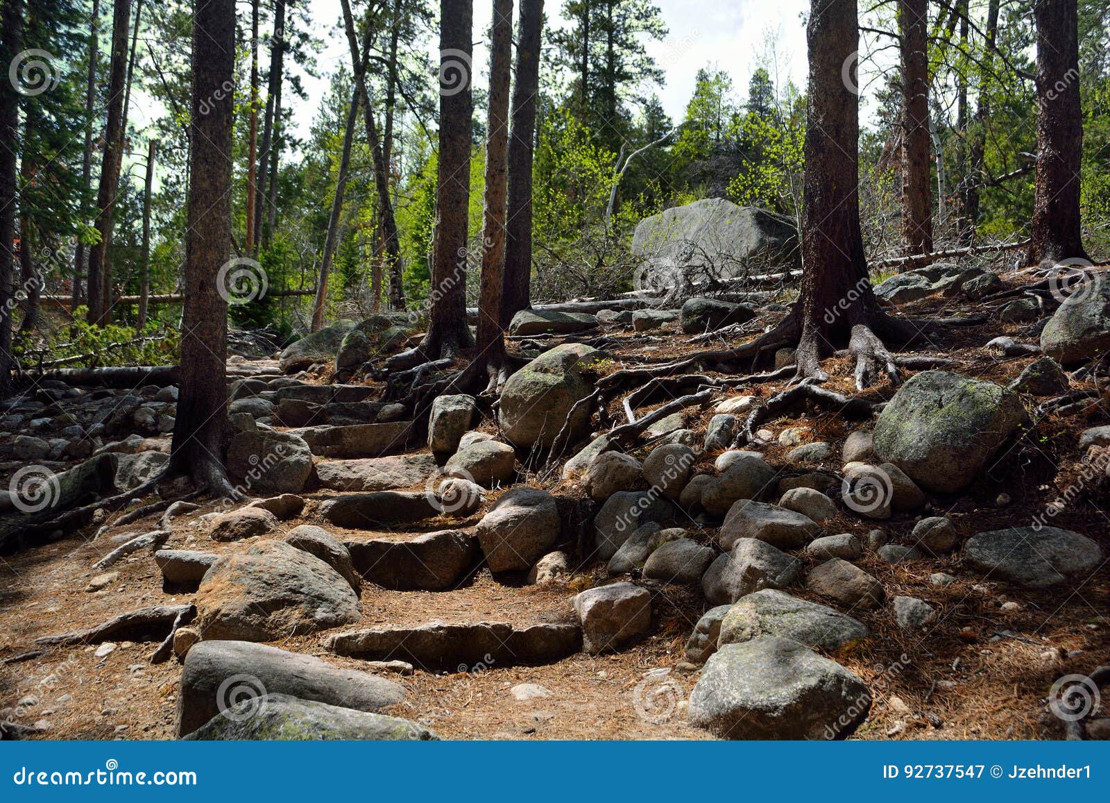Rock Stair Steps on a Forest Trail Stock Image - Image of beautiful ...
