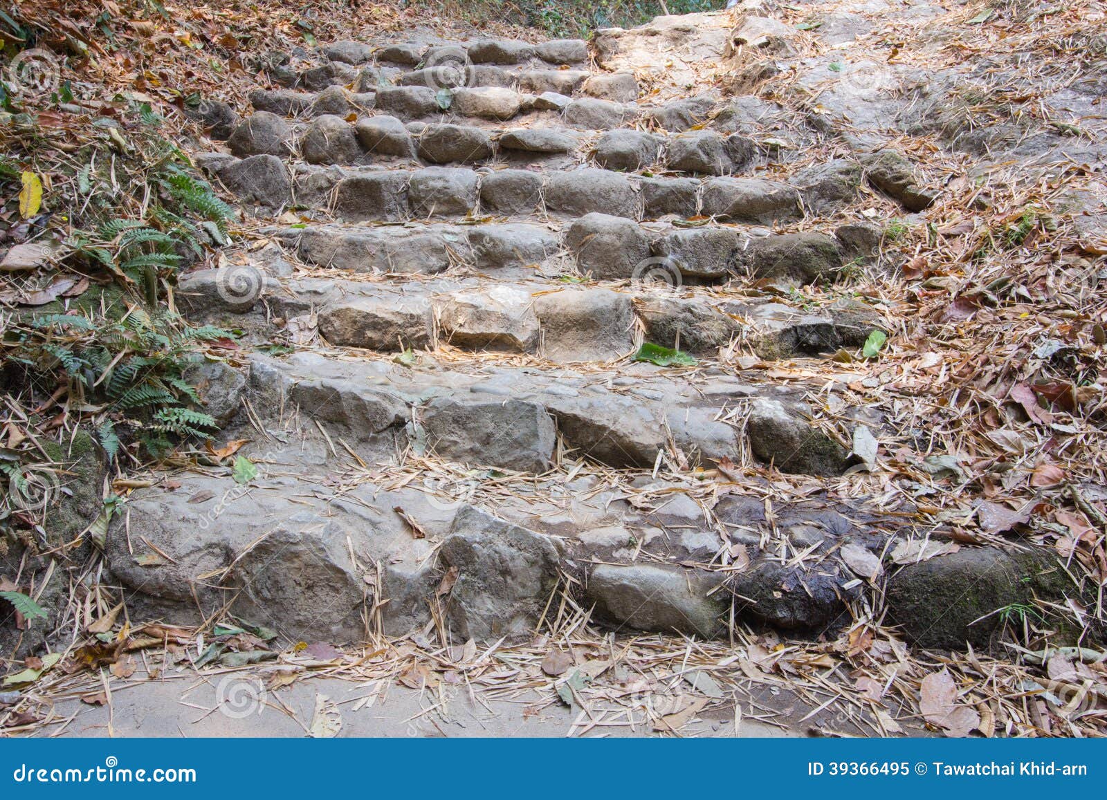 Rock stairs stock image. Image of decision, hike, trees - 39366495