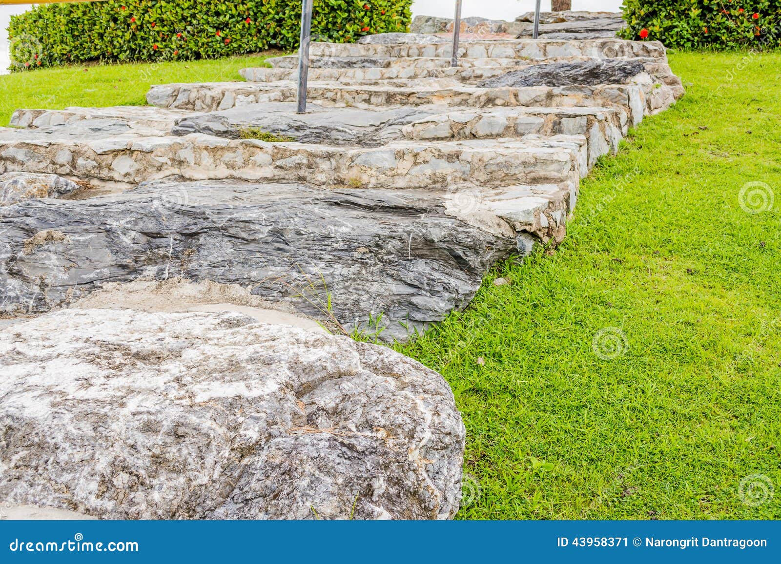 Rock stairs stock image. Image of plant, staircase, park - 43958371