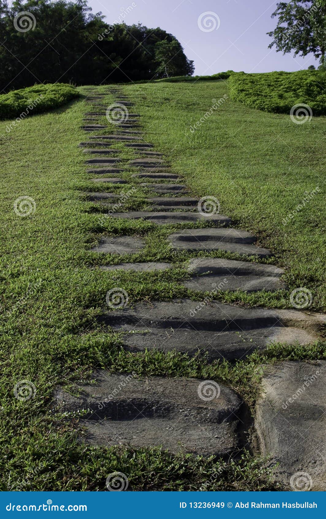 Rock Steps On Walking Trail To Wairoa Stream Te Wairere In Ker Royalty ...