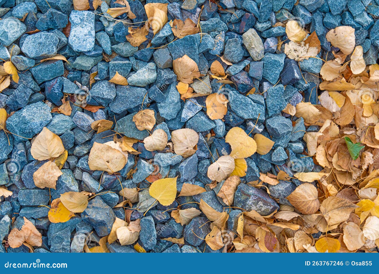 Rock and Stone Chips with Brown Fall Autumn Leaves Stock Photo - Image ...