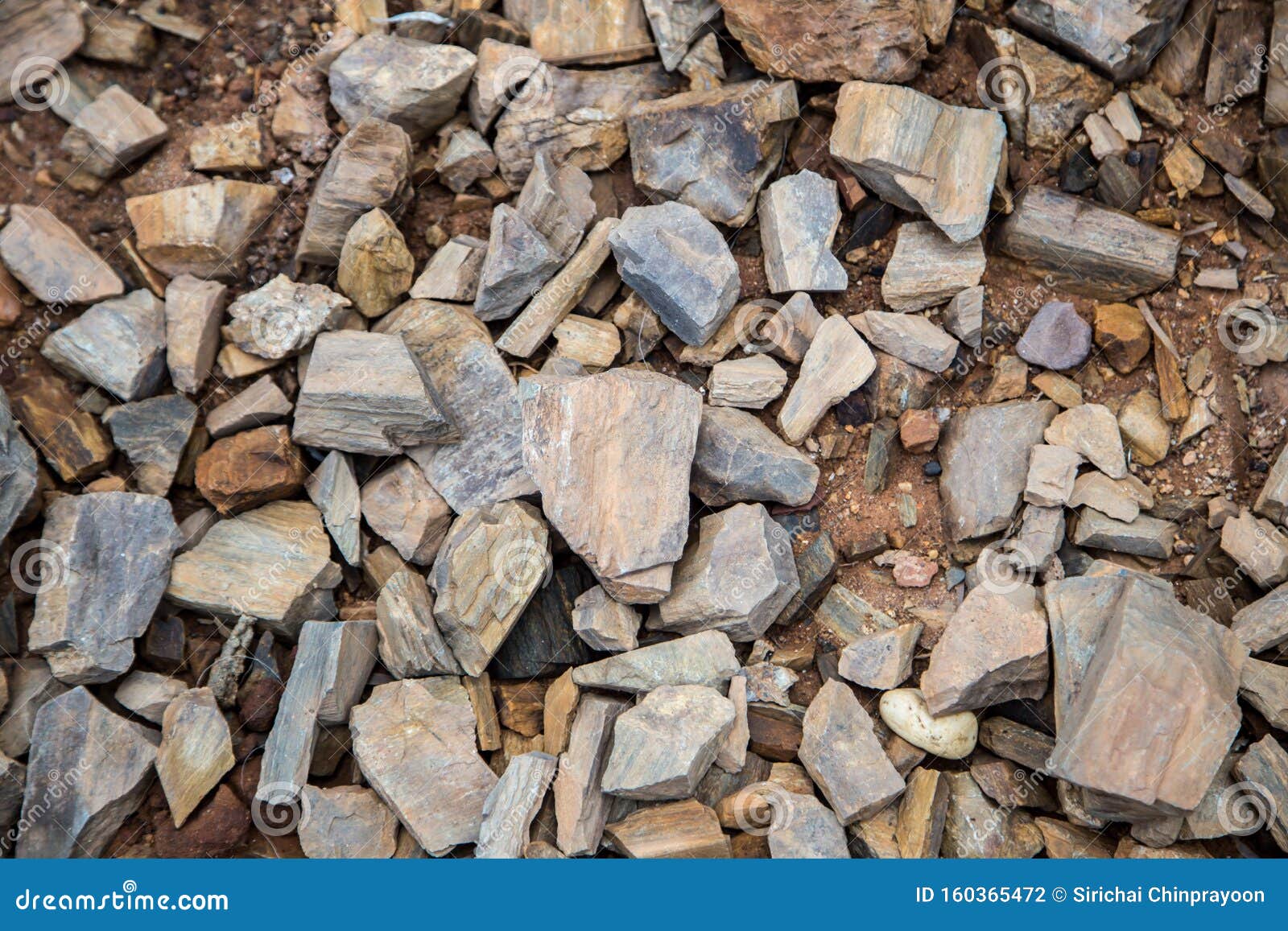 Rock on ground in backyard stock photo. Image of outdoor - 160365472