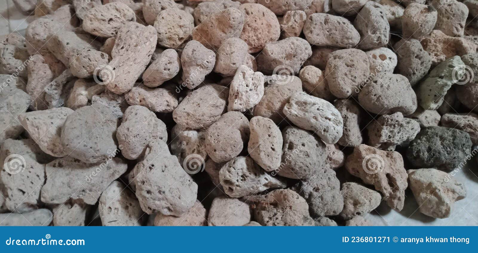 Pumice Texture Stock Photo | CartoonDealer.com #16104072