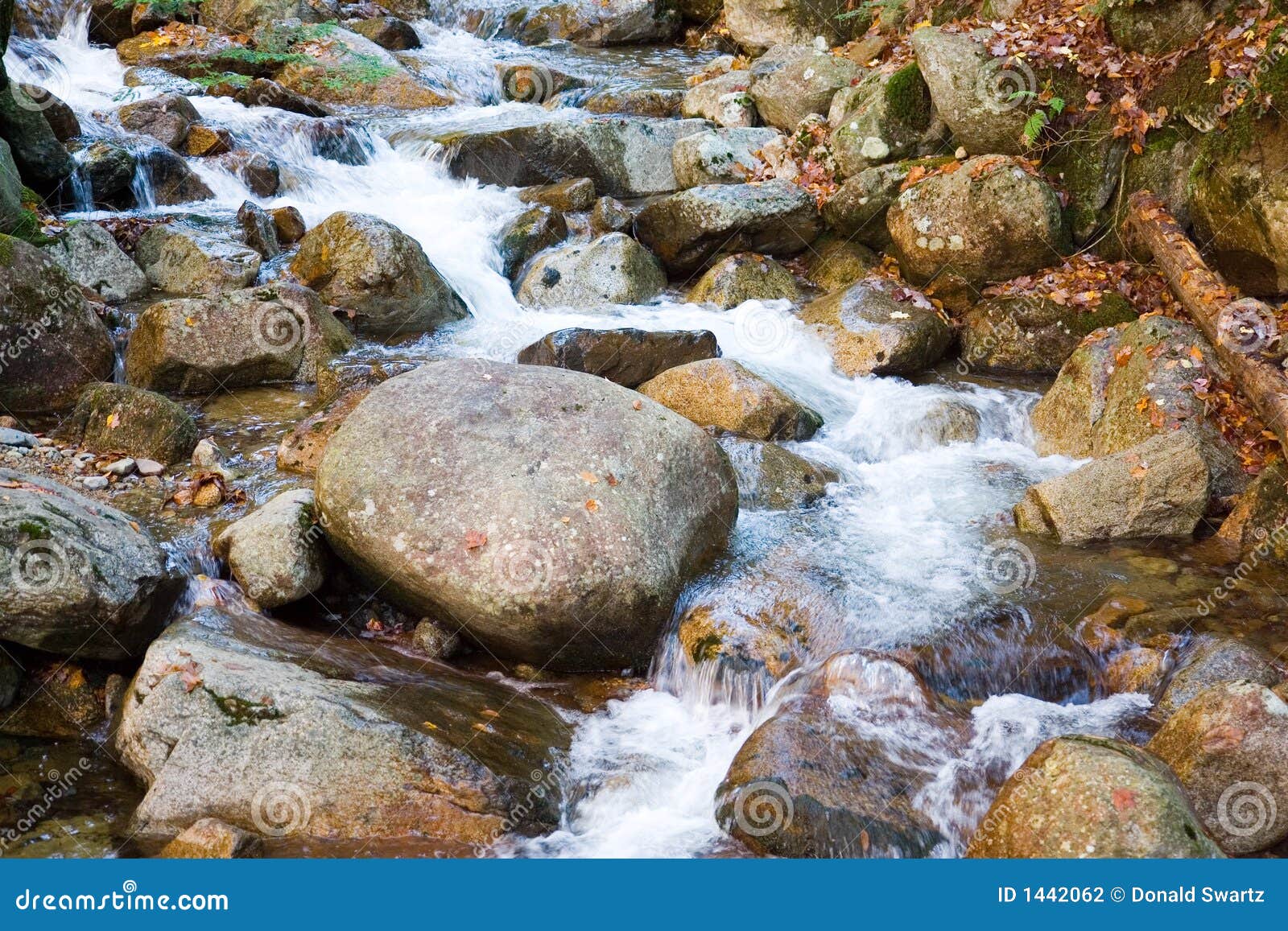 Rock Stream stock photo. Image of recreation, river, calmness - 1442062