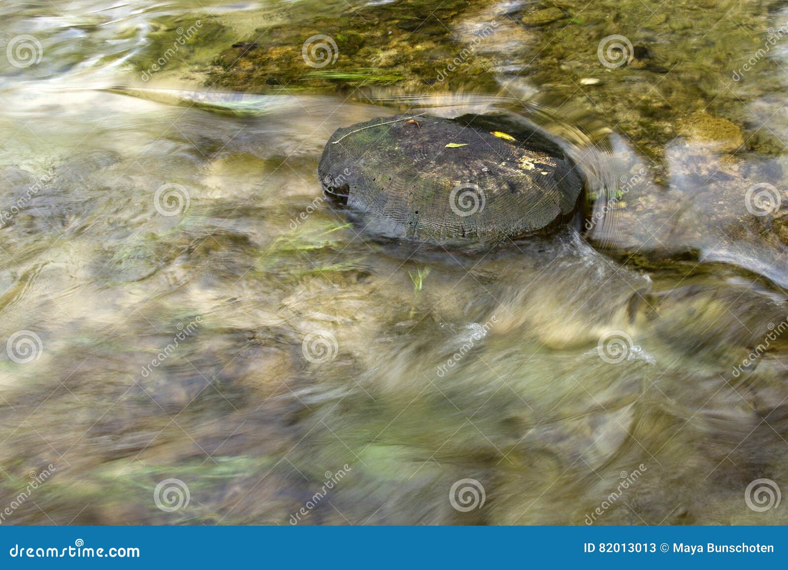 Rock in streaming water stock image. Image of eternal - 82013013