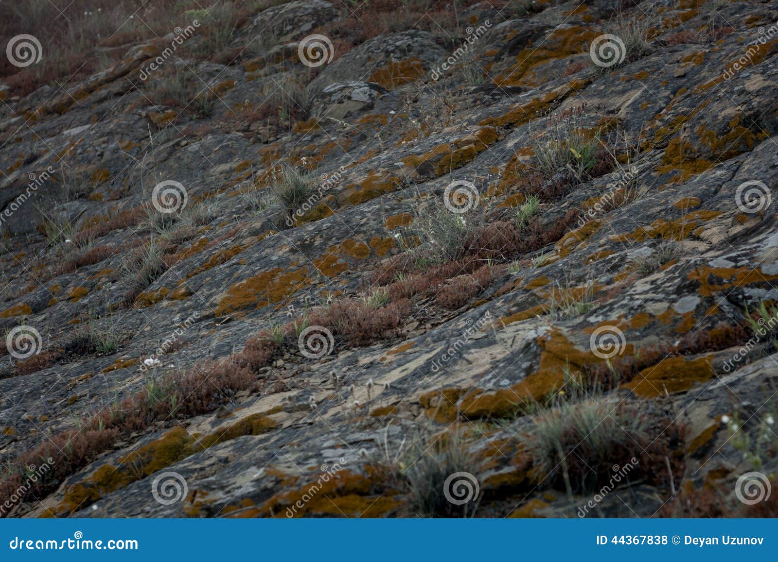 Rock Structure Moss Surface Grass Stock Photo - Image of texture, grass ...