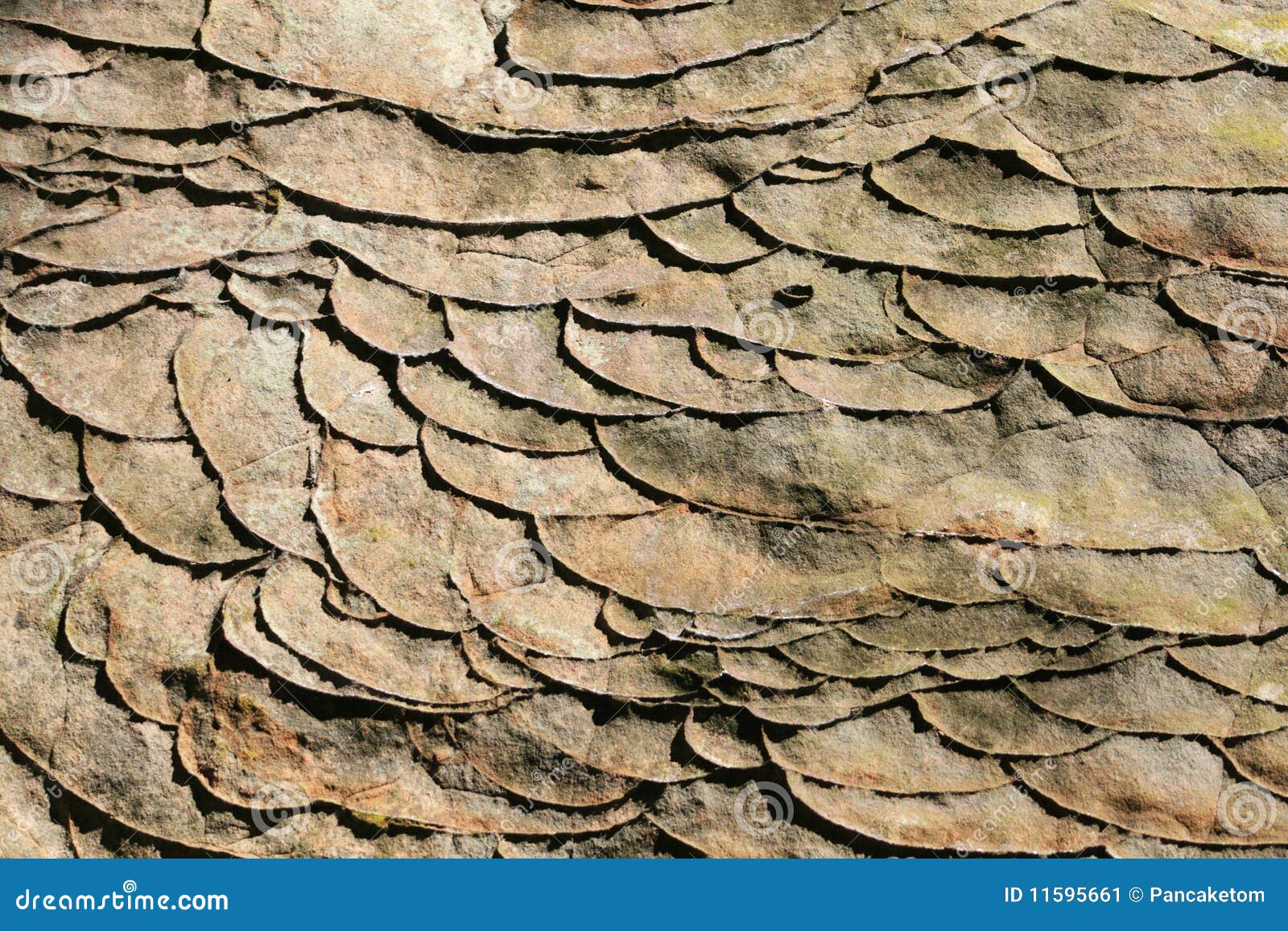 Rock surface stock image. Image of sand, sedimentary - 11595661