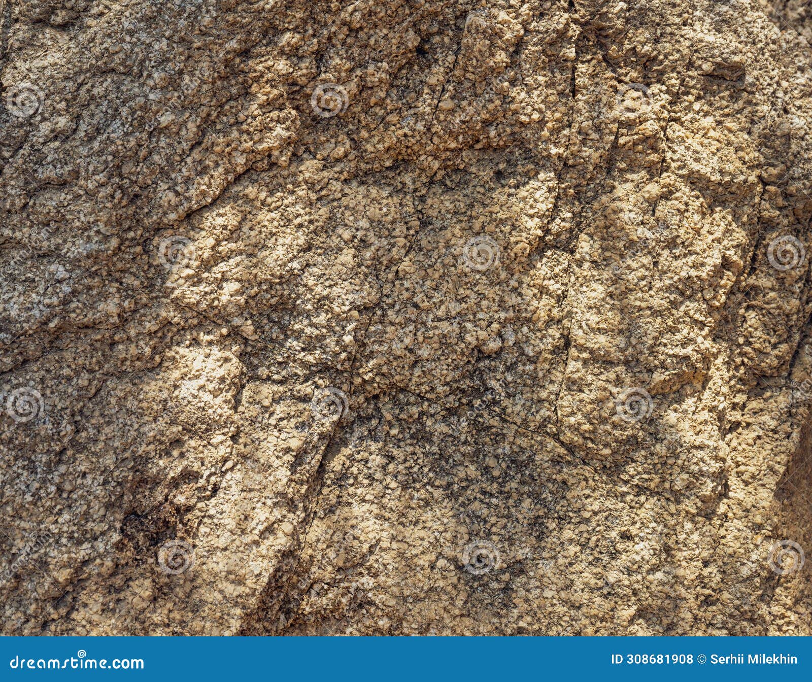 Natural Structure Wood Texture Stock Photography | CartoonDealer.com ...