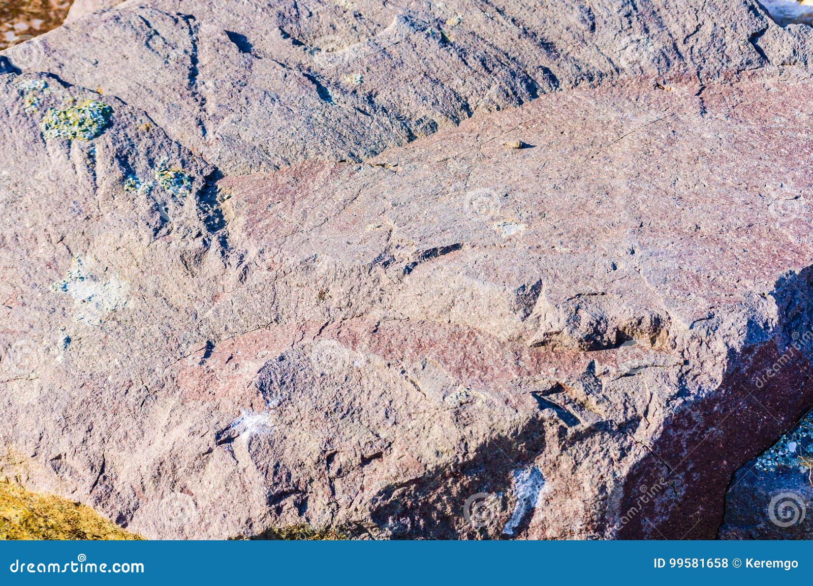 Rock Surface Detail stock photo. Image of backgrounds - 99581658