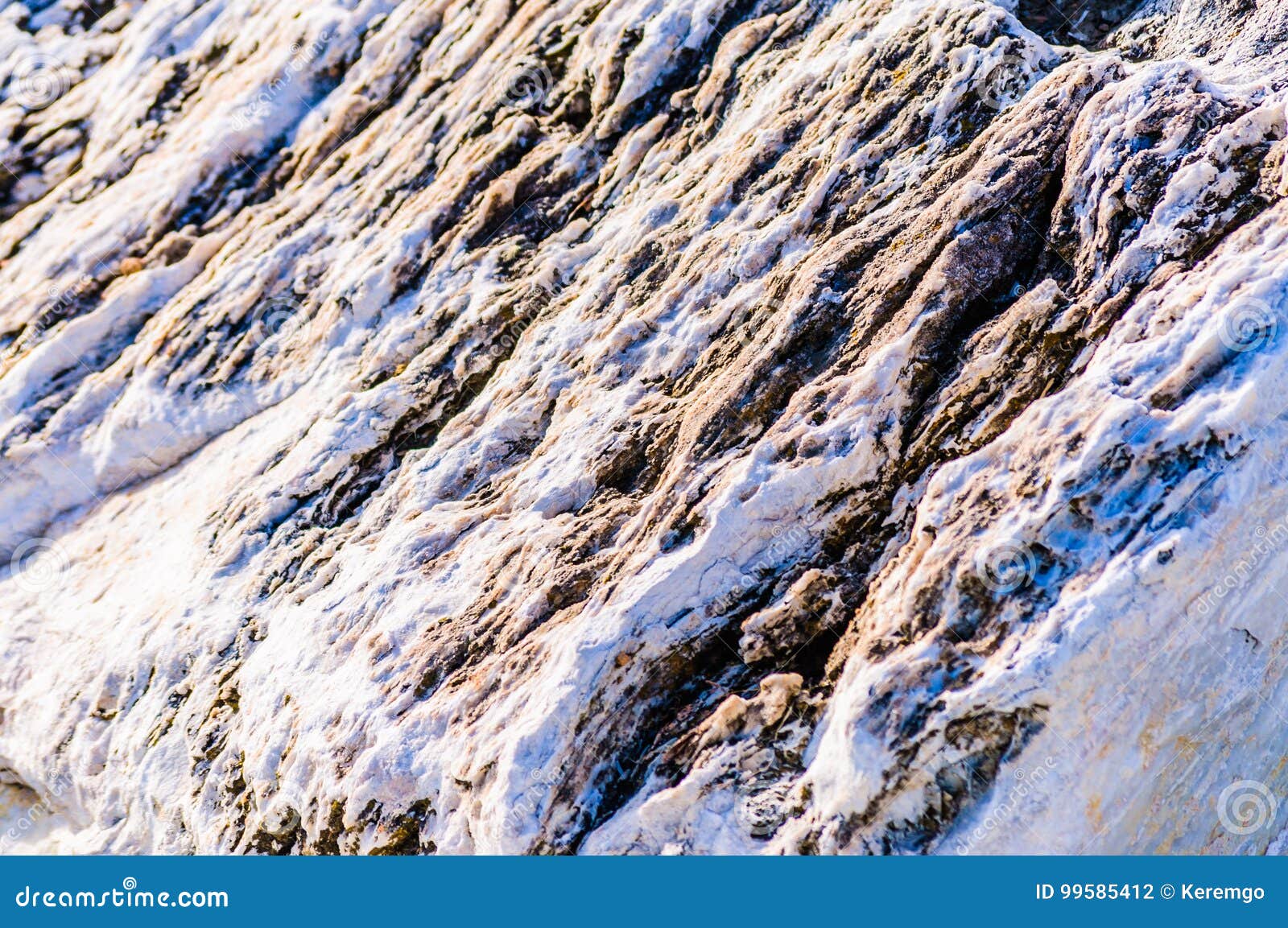 Rock Surface Detail stock photo. Image of rockwork, igneus - 99585412
