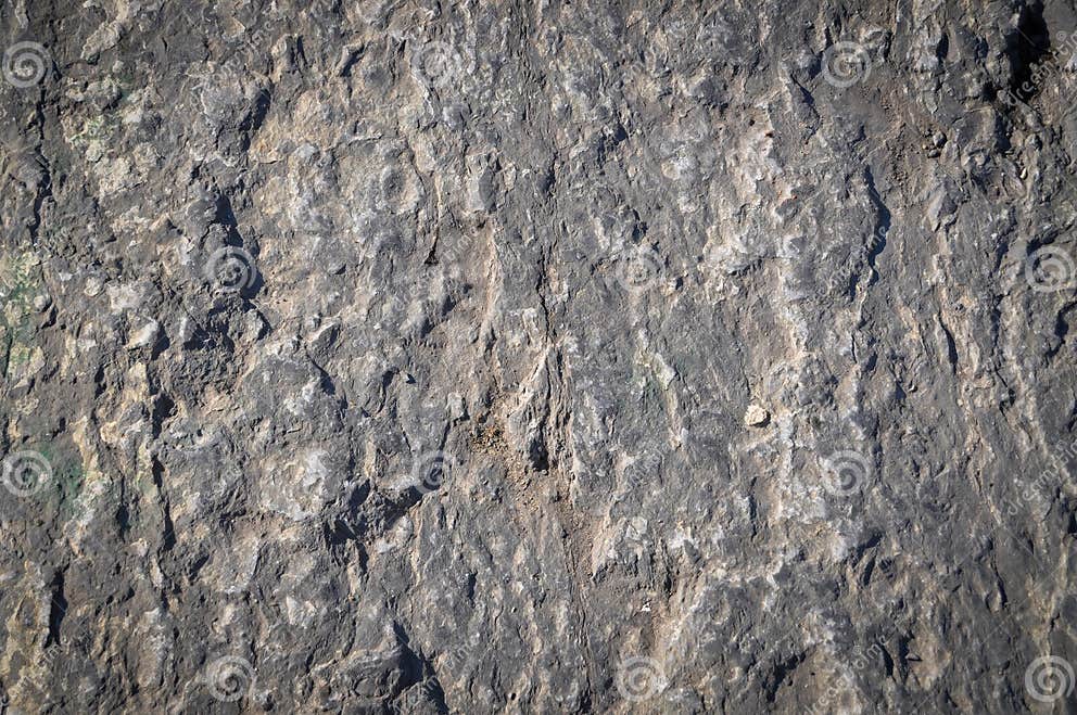 Rock surface stock image. Image of oberfl, organic, granite - 50062617