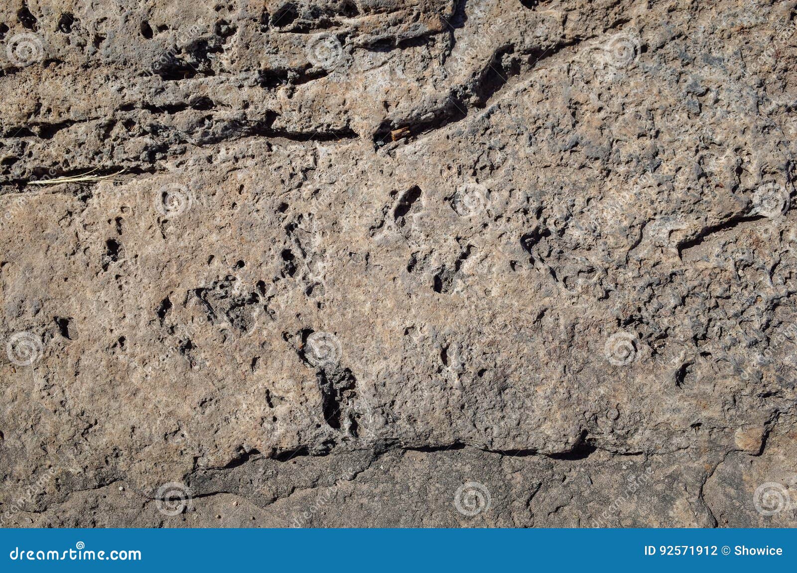Rock surface stock photo. Image of backdrop, material - 92571912