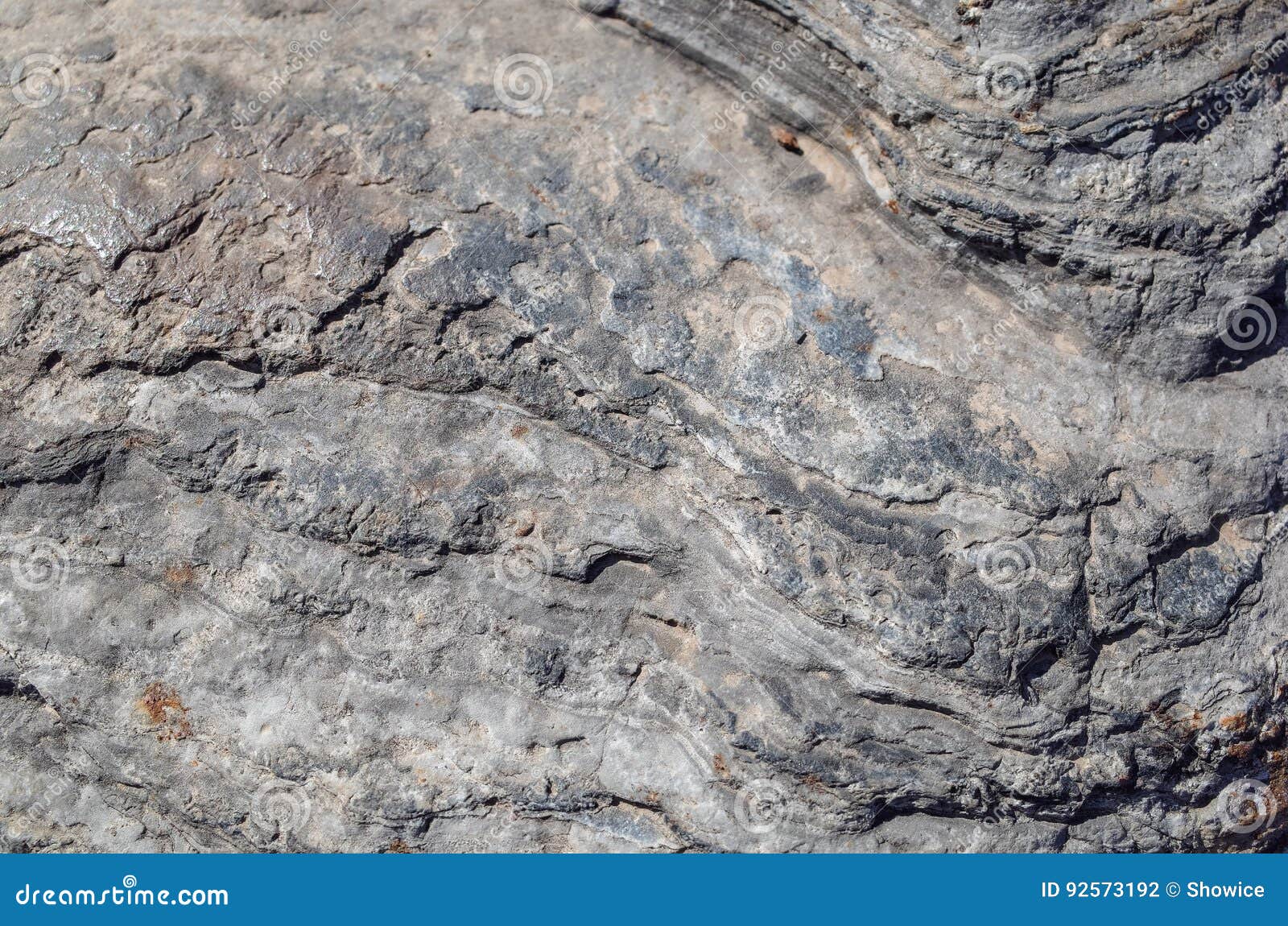 Rock surface stock photo. Image of closeup, grey, close - 92573192