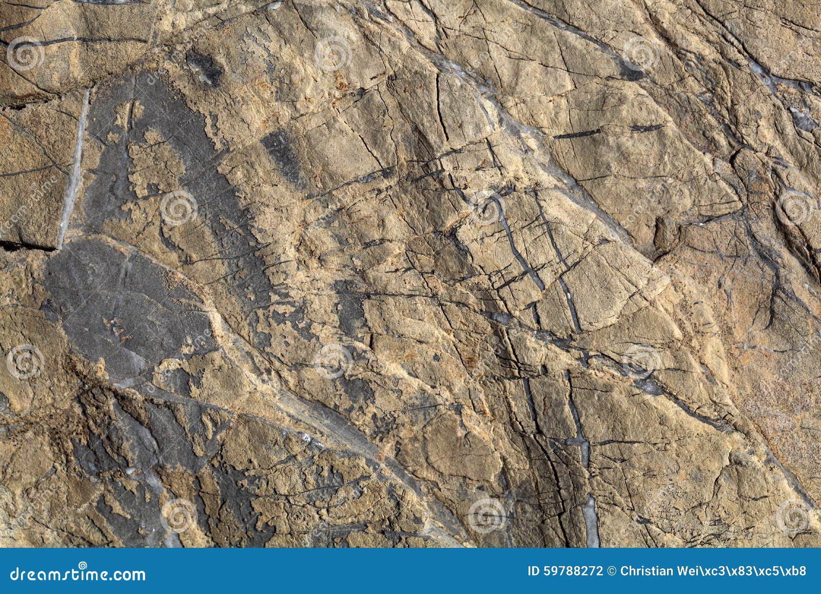 Rock Surface stock photo. Image of weathered, rustically - 59788272