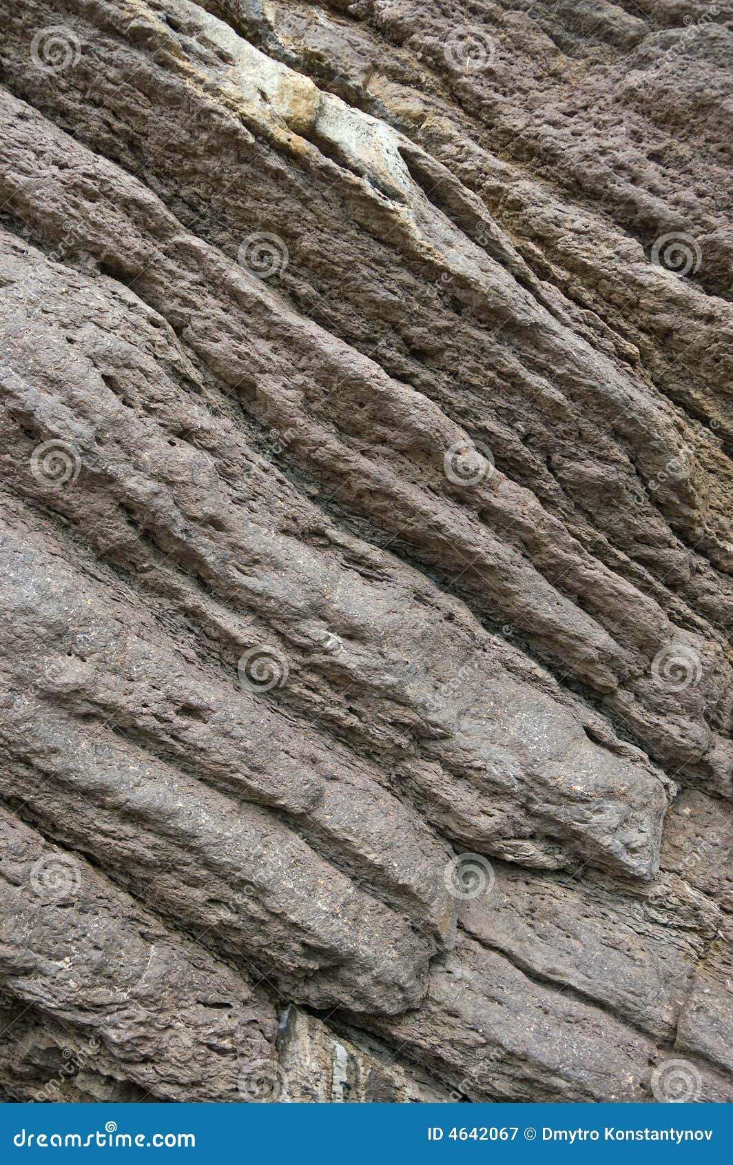 223 Conglomerate Rock Closeup Texture Stock Photos - Free & Royalty ...