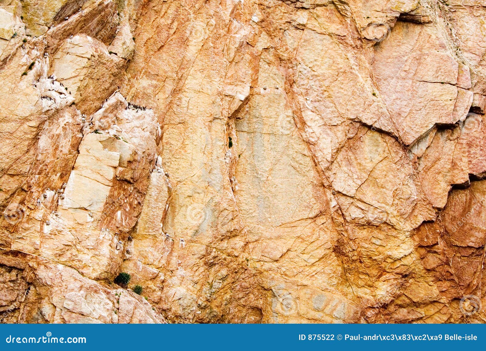 Rock Texture Stock Photography | CartoonDealer.com #875522