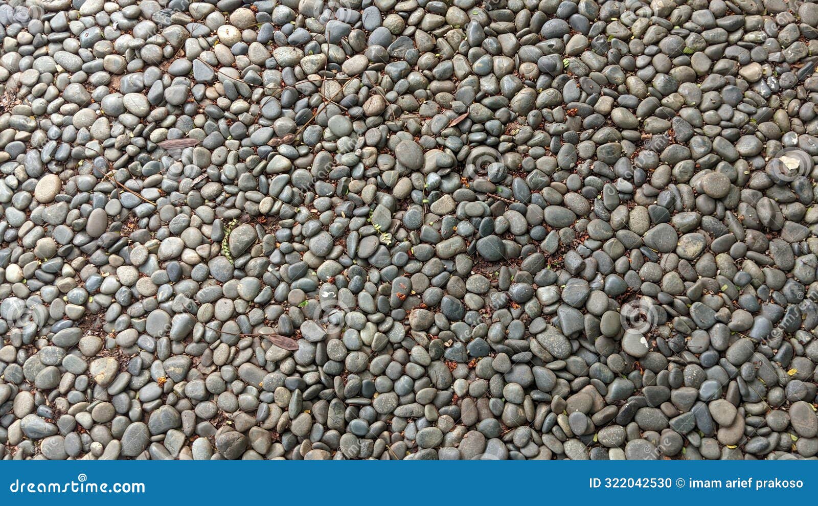 Rock Texture Background with Dry Twigs and a Little Soil Stock Photo ...