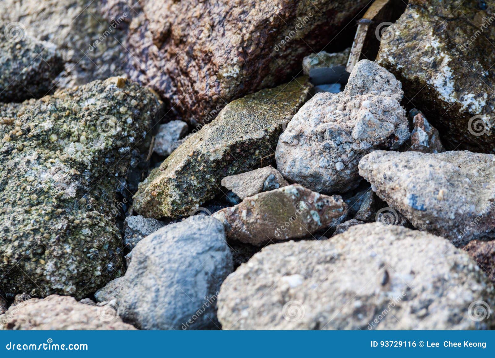 Rock texture in close up stock photo. Image of limestone - 93729116