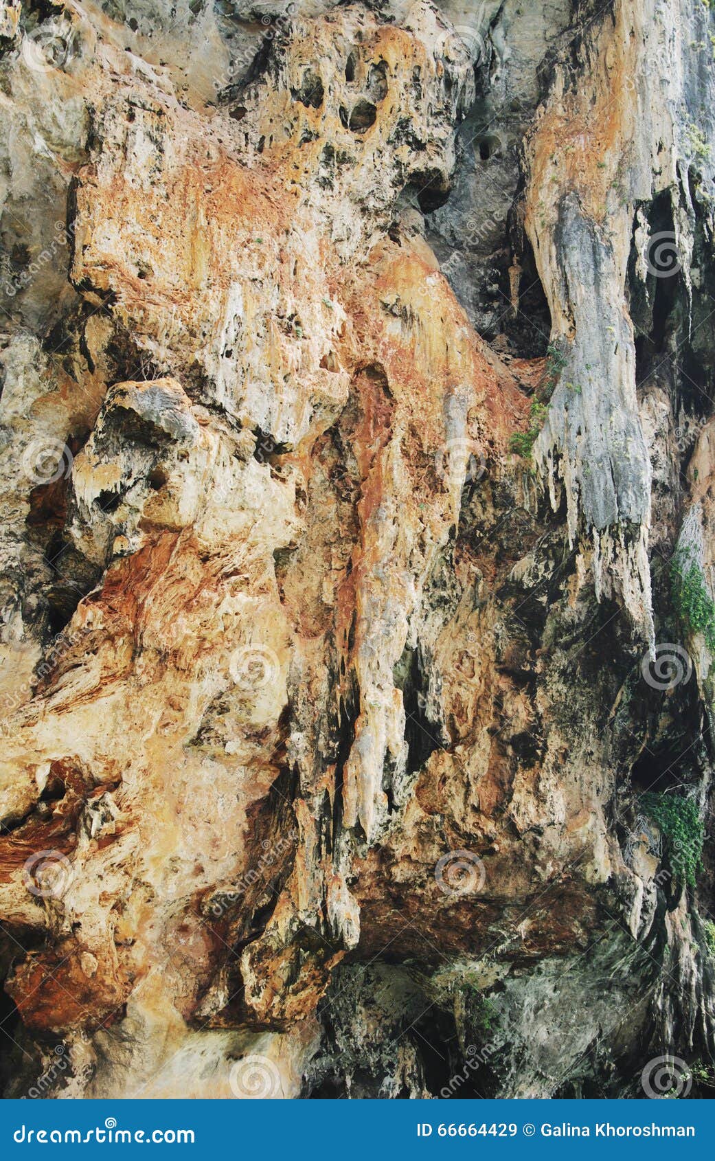 Large Chert Nodule With Thick Black And Off-white Stripes, In Light ...