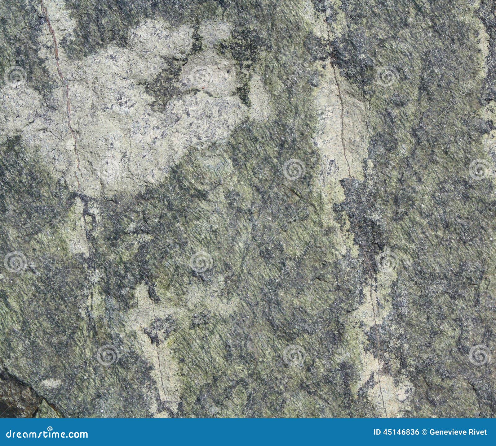 Rock Texture stock photo. Image of grey, beige, detail - 45146836