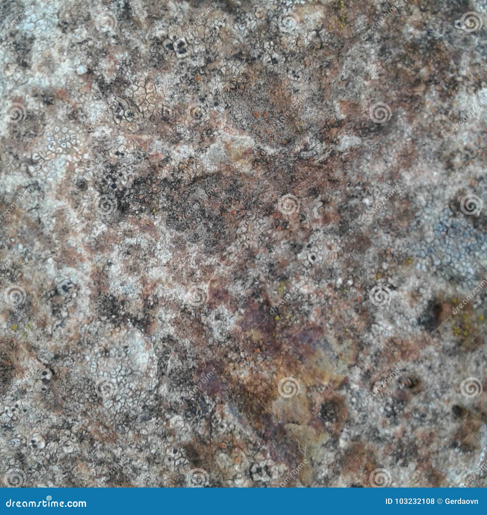 Rock texture stock photo. Image of grey, brown, texture - 103232108