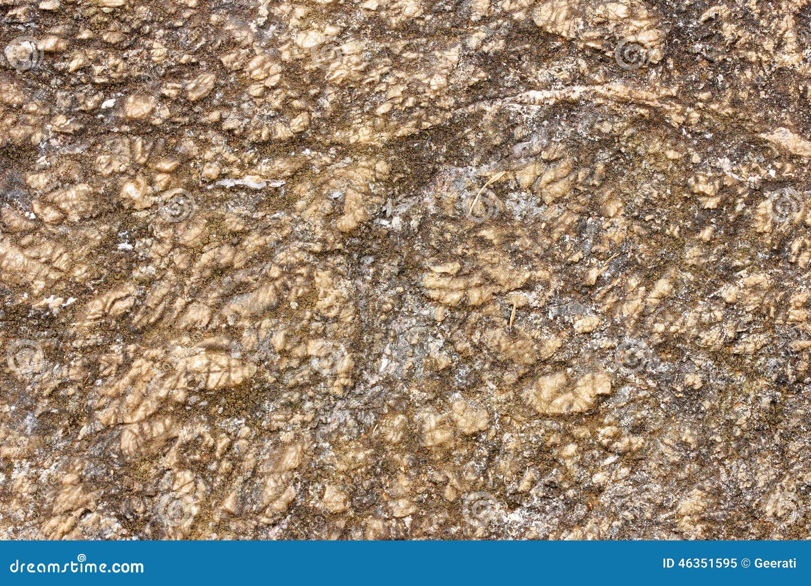 Rock texture stock image. Image of rugged, nature, abstract - 46351595