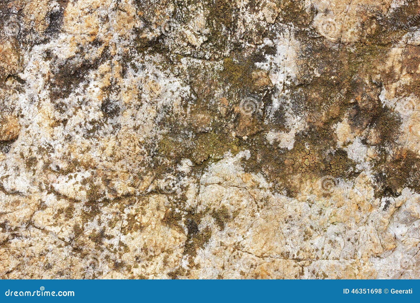 Rock texture stock photo. Image of background, cracked - 46351698
