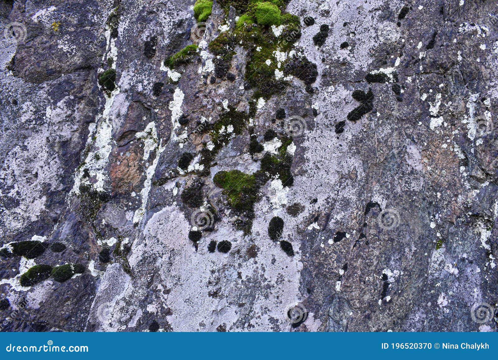 Rock Texture, Stone Rock Covered with Moss. the Stone on Which the Moss ...