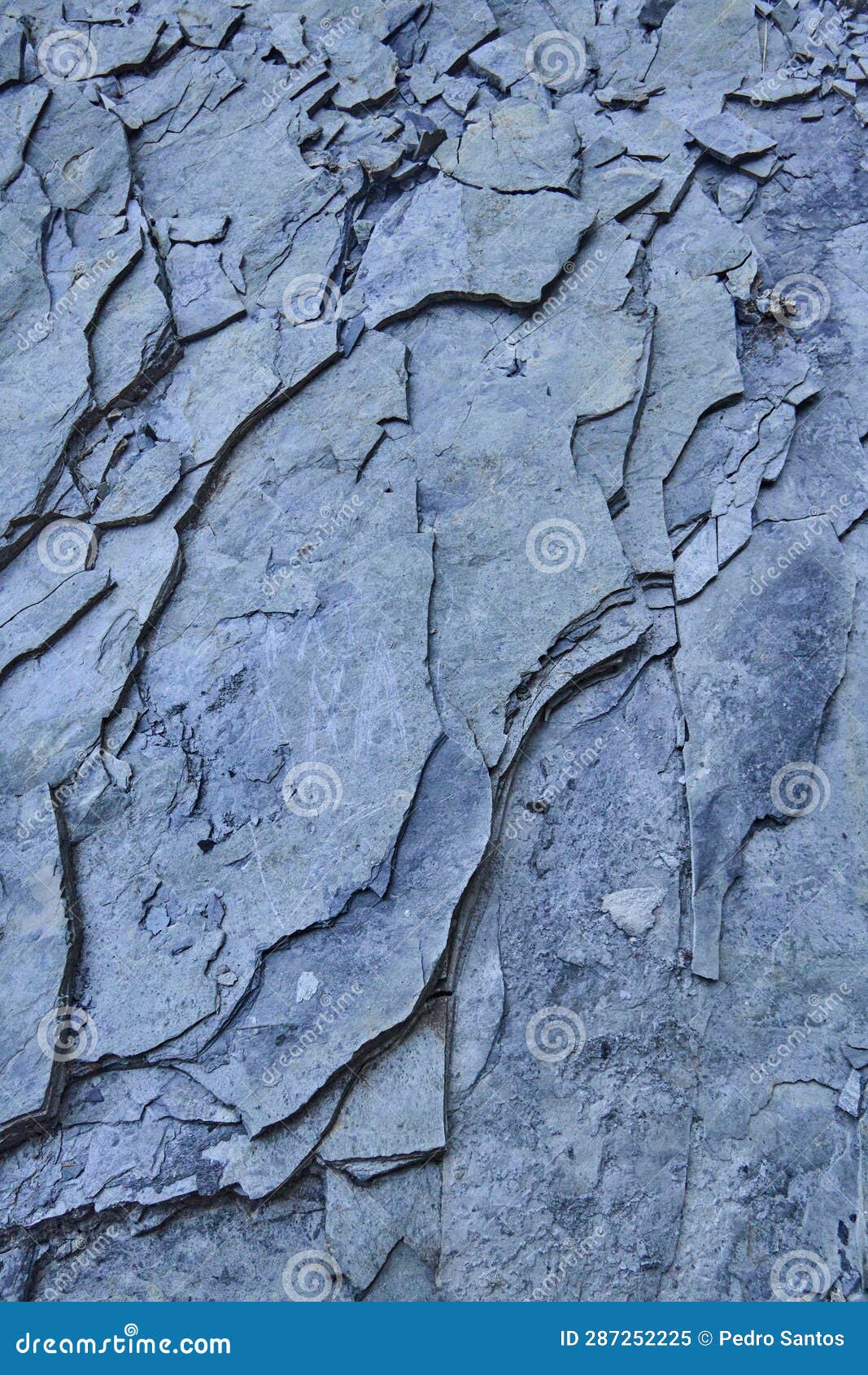 Rock Texture in the Swiss Alps Stock Image - Image of tree, swiss: 287252225