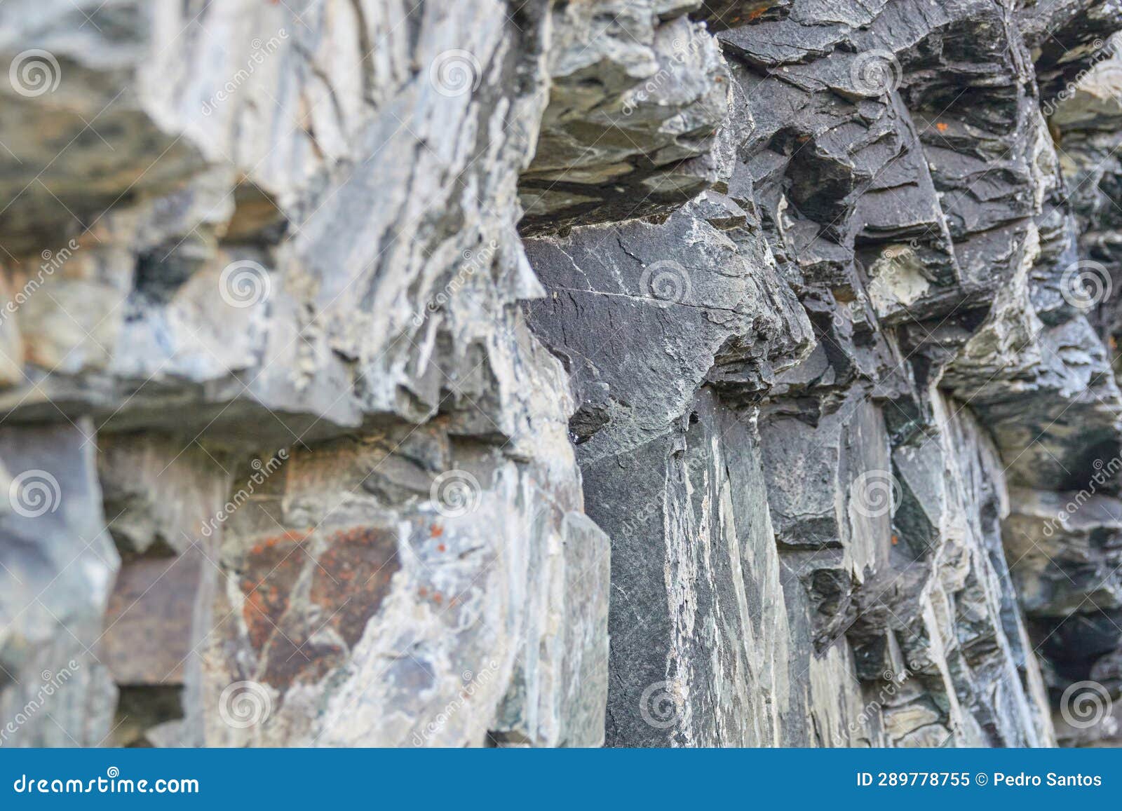 Rock Texture in the Swiss Alps Stock Image - Image of winter, tree ...