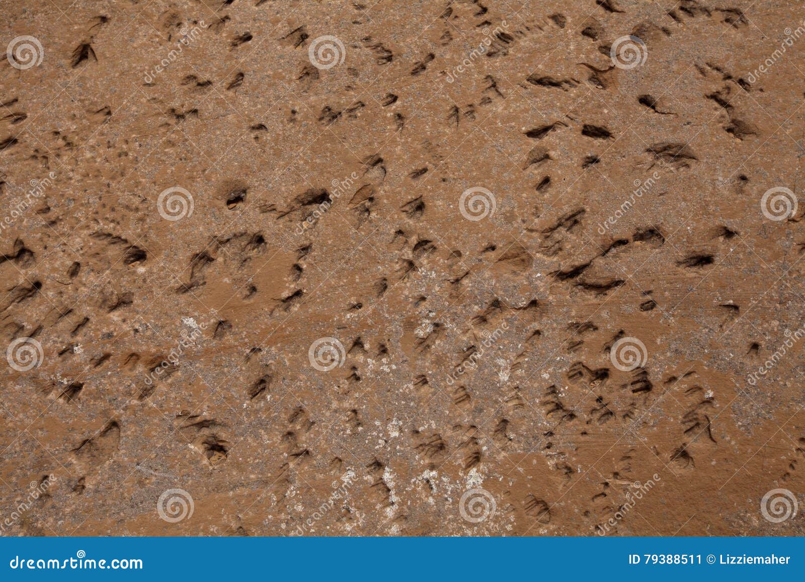 Rock Texture stock image. Image of sandstone, nature - 79388511