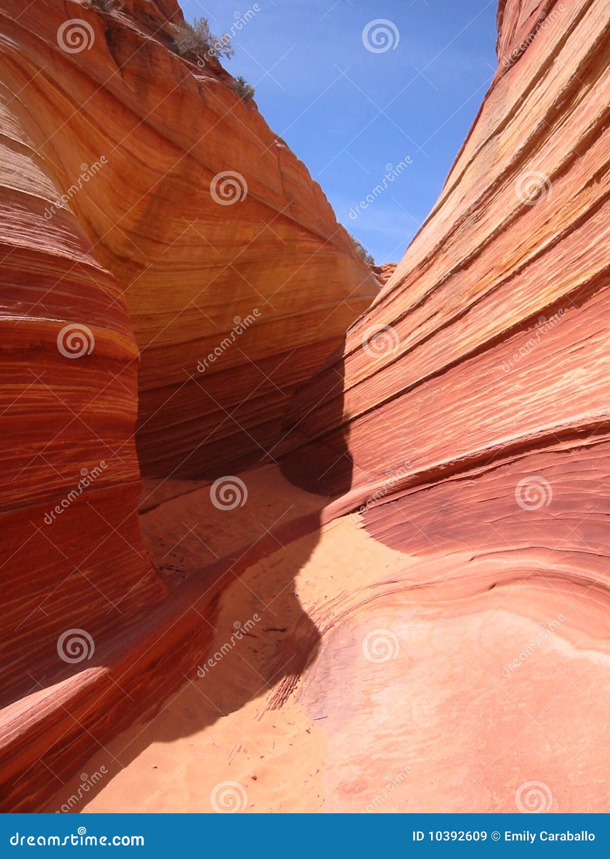 Rock texture in Utah stock image. Image of macro, nature - 10392609