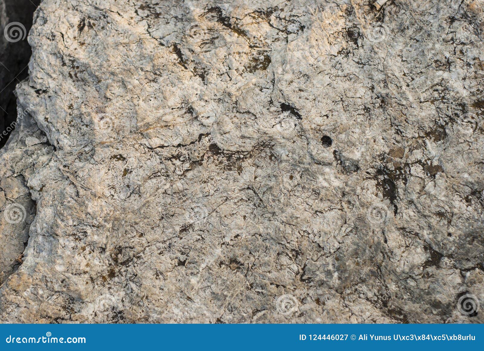 Rock texture variations stock image. Image of volcanic - 124446027