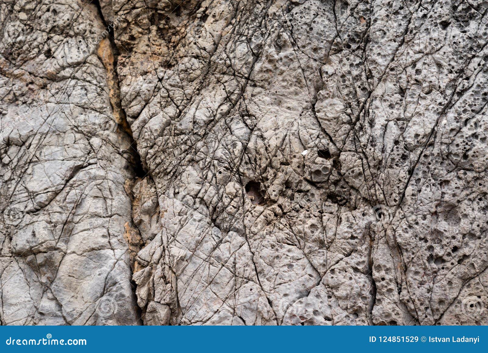 Structure of rockface stock image. Image of green, macro - 124851529